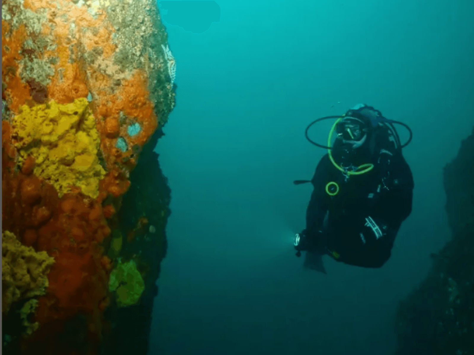 Dive Truck Chile - #VoyALosVilos